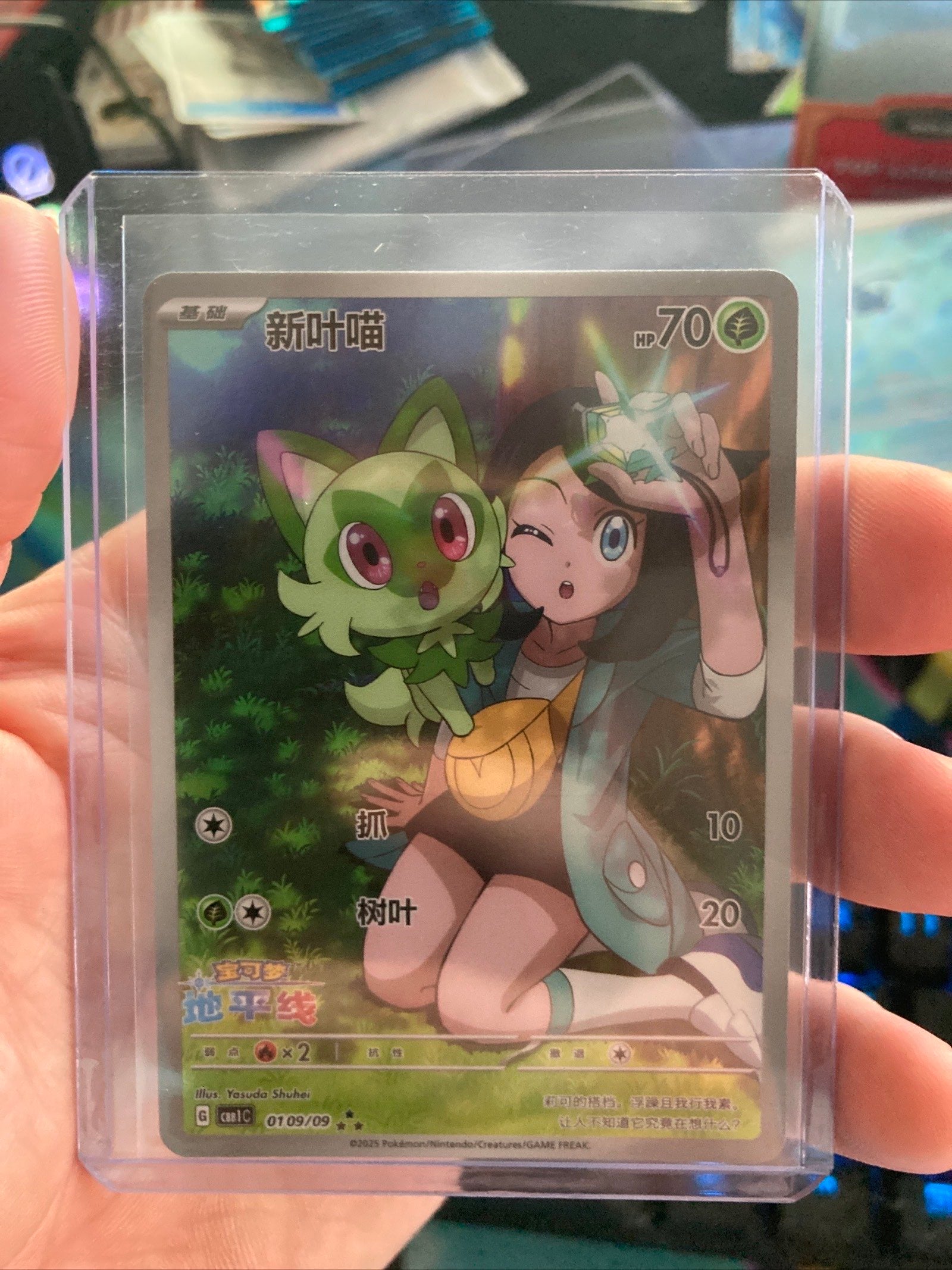 Solo card (Chinese Full Art Sprigatito) – TCG Custom Packs/Family Tymes